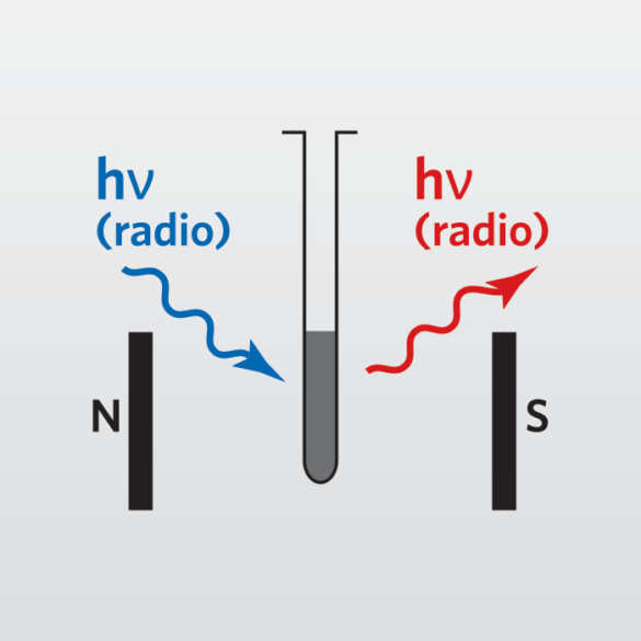 Nuclear Magnetic Resonance Spectroscopy (NMR)