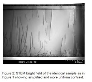 Evaluation of Dislocation Type in GaN Using STEM