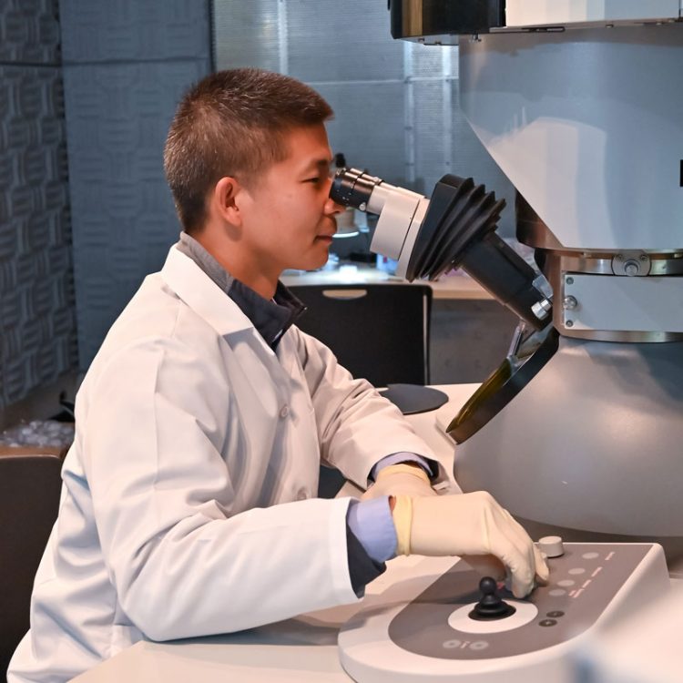 A Picture is Worth a Thousand Words – TEM, STEM and AC-STEM - EAG ...