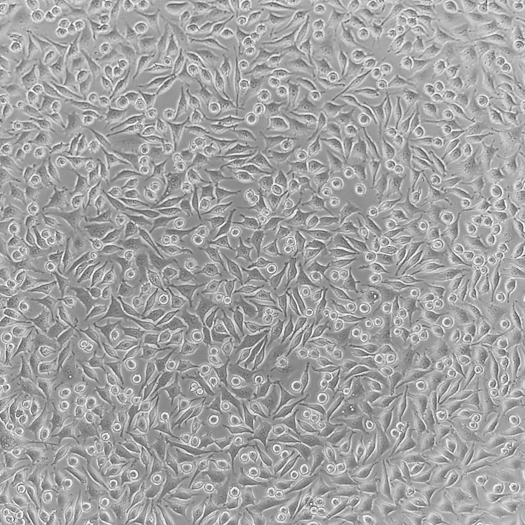 EAG Laboratories | The Global Leader in Materials Testing