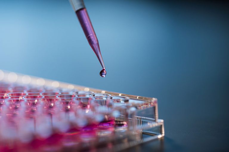 Principles and Strengths of In Vitro Testing - EAG Laboratories